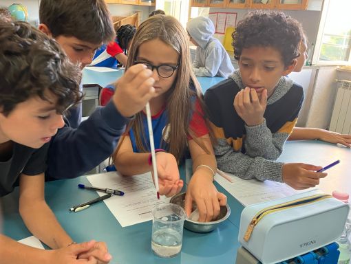 Middle School MYP Curriculum - Ambrit International School