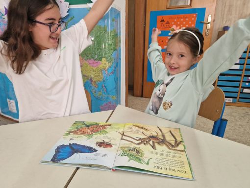 Primary School PYP Curriculum - Primary School - Ambrit International ...